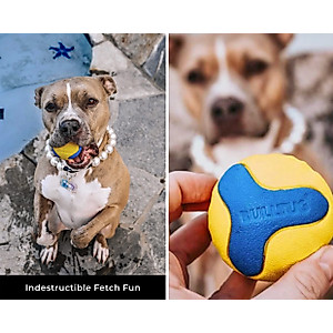 BULLTUG - Chew Ring & Fetch Ball Combo for Aggressive Chewers | Heavy-Duty, Ultra-Durable Natural Rubber, Tough Dog Toys for Medium to Large Breeds