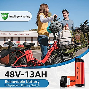 Rattan 750W Electric Bike for Adults Foldable Electric Bikes 48V 13AH Removable Battery 20" x 4.0 Fat Tire Electric Bicycles Ebike 2 Seater Electric Bike for Adults (LF-Purple)