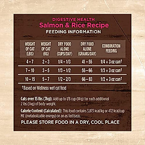 Wellness CORE Digestive Health Salmon & Rice Dry Cat Food, 5 Pound Bag