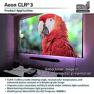 EliteProjector Screens Aeon CLR® 3, 115" Diag. 16:9, Edge Free® Ceiling Ambient Light Rejecting Fixed Frame Projector Screen, AR115H-CLR3