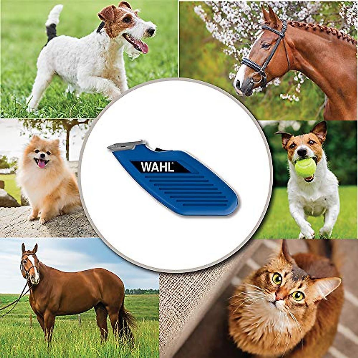Wahl Professional Animal Pocket Pro Equine Compact Horse Trimmer and Grooming Kit, Blue (#9861-900)