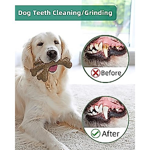 Boutiray Dog Chew Toy for Aggressive Chewers Real Bacon Flavor Nylon Bone Durable Sturdy Tough Dogs Toys Teething Cleaning Stick for Large Medium Breeds