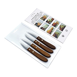 HTIAM 4 Pieces Kitchen Vegetable DIY Carving Knives Professional Chef Knife Sharp Well Food Fruit Paring Knife