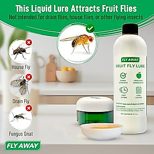 Fly Away - Fruit Fly Trap Kit: 3 Reusable Traps & Liquid Lure. Fast Acting. Stylish Design, Perfect for Kitchens, Bars, Restaurants, Wineries. Catch Fruit Flies for 90+ Days. Indoor Use