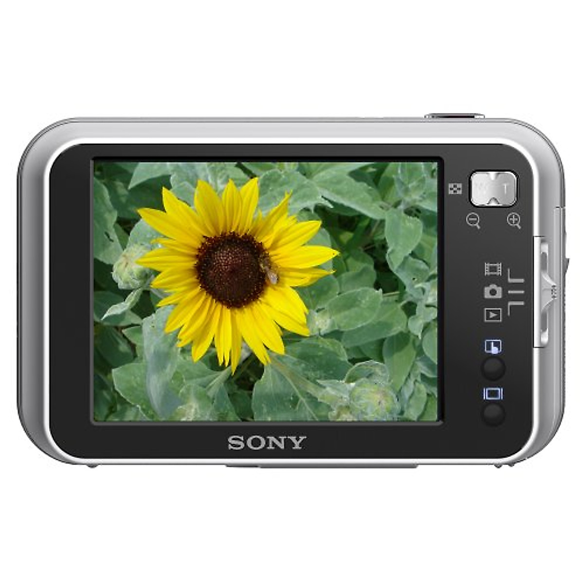Sony Cybershot DSCN1 8.1MP Digital Camera with 3x Optical Zoom
