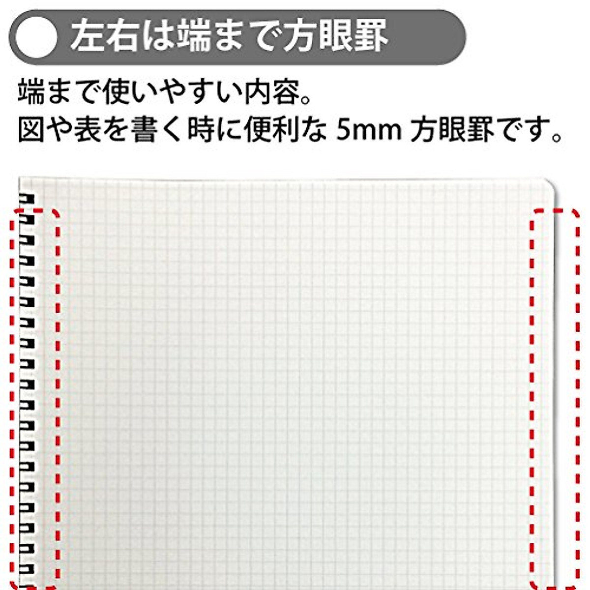 Kokuyo Campus notebook grid ruled Twin Ring A4 40 sheets scan -T223S5-D