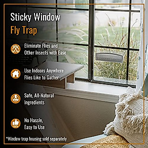 Dr. Killigan's The Fly Inn Replacements - Replacement Traps for The Fly Inn (6 Insert Refills)