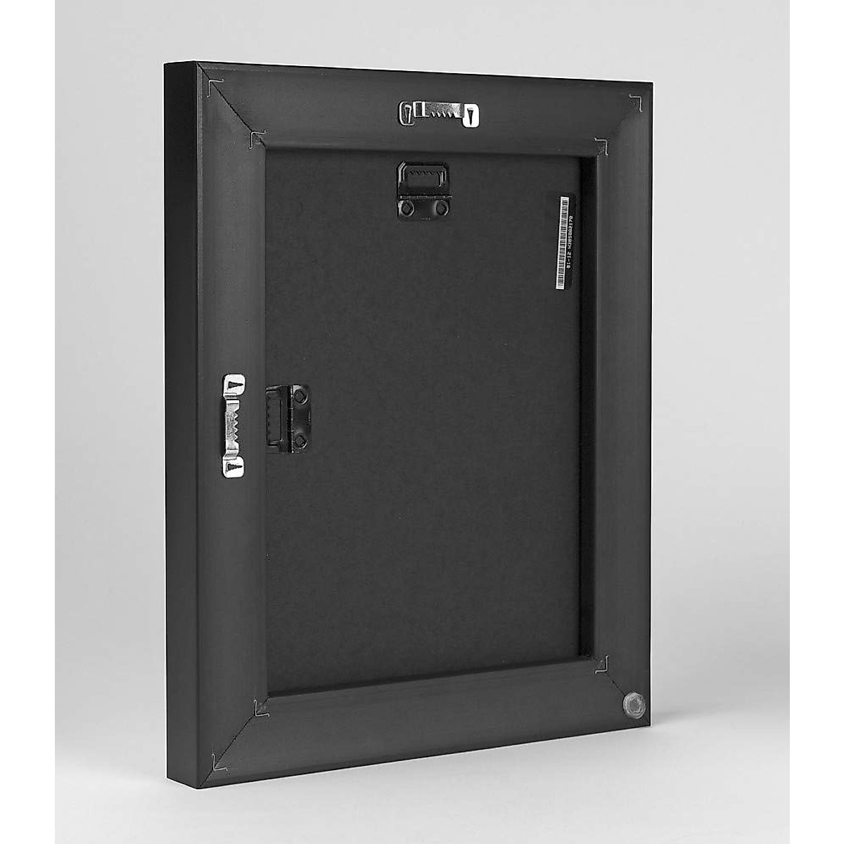 Common Loon family, One adult loon is Black Float Frame Canvas Art, Photography Artwork