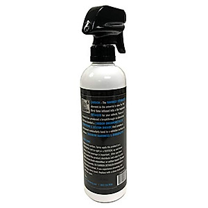 C6 Carbon Infused Automotive Paint Detailer Hardest Durable Protection and Shine for All Vehicles from UV, Acid Rain, Road Salt, Scuffs 16 oz. (C6D016)