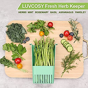 LUVCOSY 2 Packs Fresh Herb Keeper for Refrigerator, Clear BPA-Free Herb Saver, Storage Container for Cilantro, Parsley, Thyme, Mint & Asparagus, Preserver Keeps Fresh Herbs Cyan