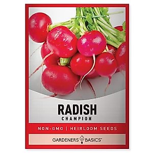 Radish Seeds for Planting - Champion Variety Heirloom, Non-GMO Vegetable Seed - 2 Grams of Seeds Great for Outdoor Spring, Winter and Fall Gardening by Gardeners Basics