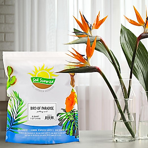 Bird of Paradise Potting Soil Mix (8 Quarts), All Natural Mix for Indoor/Outdoor Container Tropical Plants