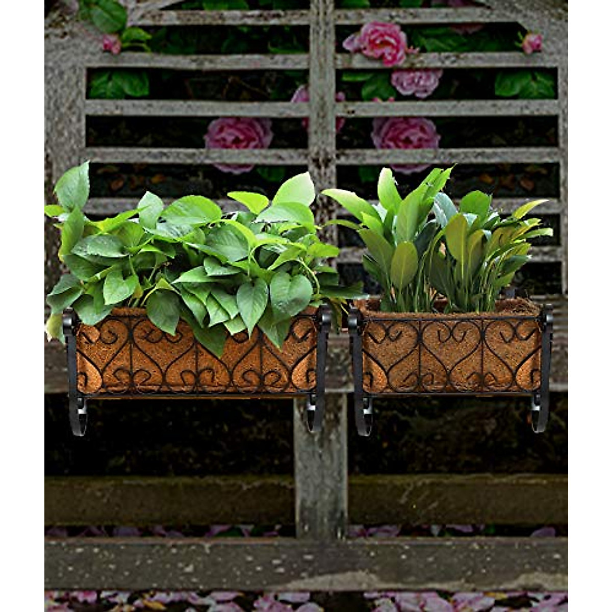 MorTime Iron Hanging Flower Rack Basket Shelf with Hooks, Railing Flower Pots Holder Black Metal Decorative Railing Shelf for Outdoor Garden Balcony Fence Patio