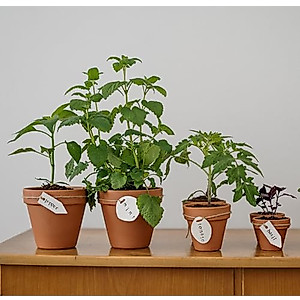 BUTIYOU P15 Label Maker with Tape,Mini Portable Bluetooth Thermal Printer,Multi Creative Label Templates Available for Phone,Easy-Used Office Home Industry Organization USB Rechargeable (White)