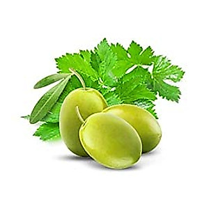 Cucina Coriander and Olive Tree 33.8 oz Purifying Hand Wash Refill