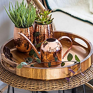 Smouldr Mini Plant Watering Can Indoor: Rose Gold Small Watering Can Helps You Water Tiny House Plants, Succulents, Bonsai or Herb Gardens - Steel Plant Waterer for Miniature Flower Pots - 15 Ounces