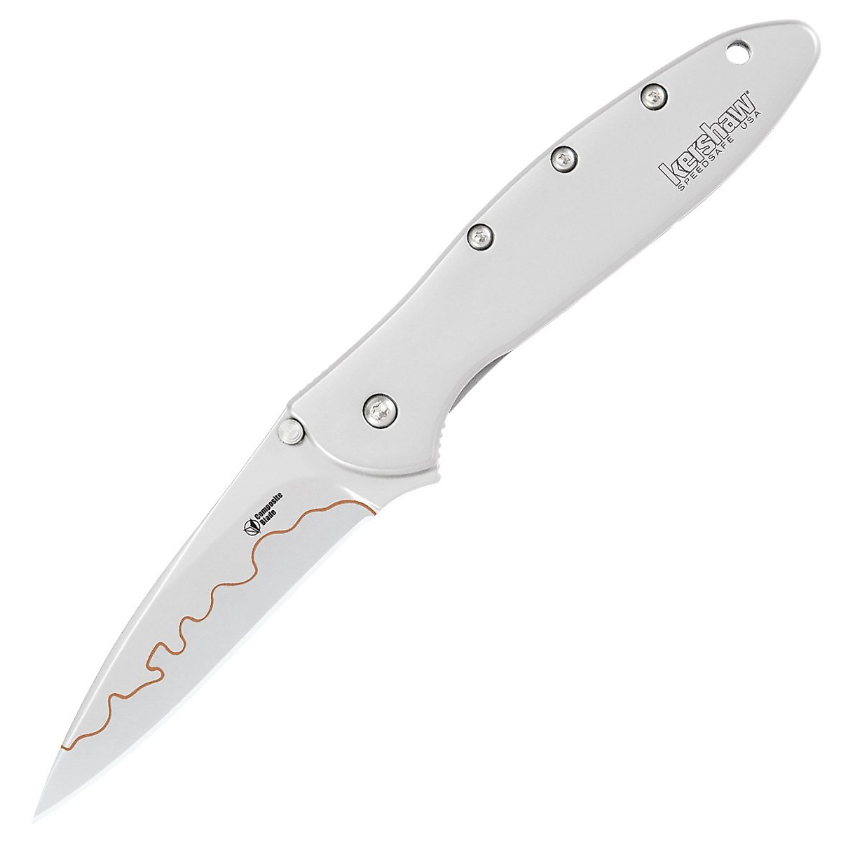 Kershaw Leek Composite Blade Folding Pocketknife, 3" D2 Steel and 14C28N Stainless Steel Blade, Assisted Opening Folding EDC