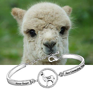 FOTAP Llama Gift Never Forget How Llamazing You Are Bracelet Alpaca Gifts (Llama S Bangle)
