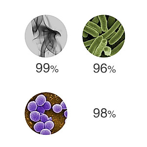 JNXHON Refrigerator Deodorizer Fridge Deodorizer Car Deodorizer Shoe Cabinet Stainless Steel Pot Odor Absorber (1)