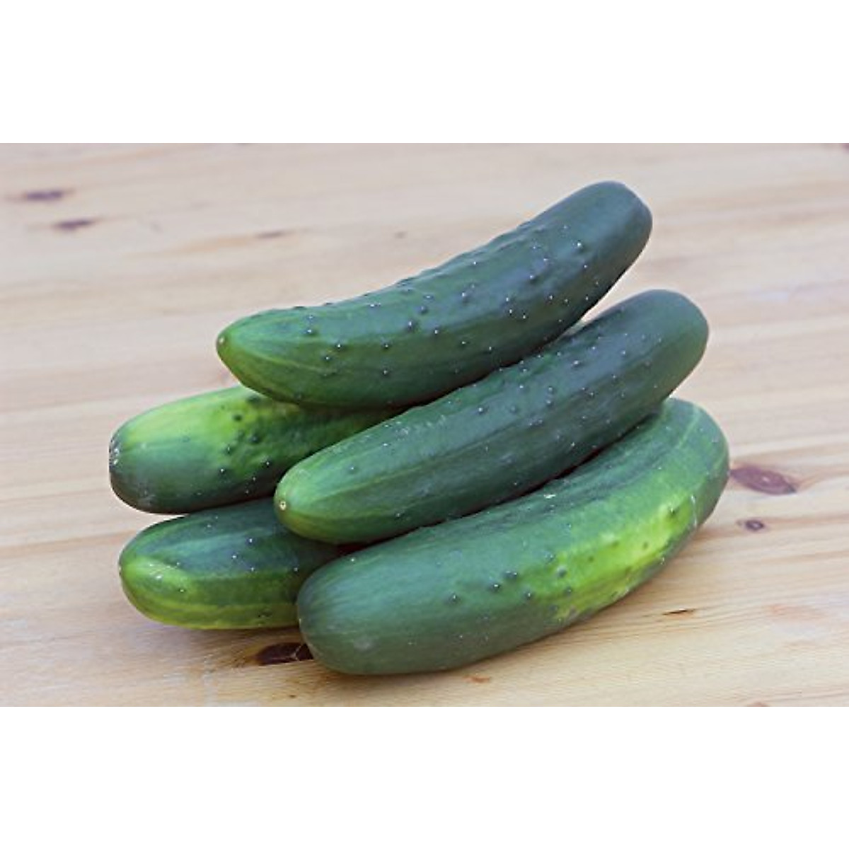 Burpee Salad Bush Slicing Cucumber Seeds 30 seeds