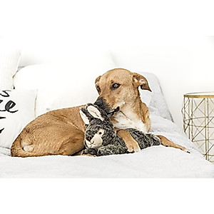 Fluff & Tuff – Walter Wabbit Plush Dog Toy