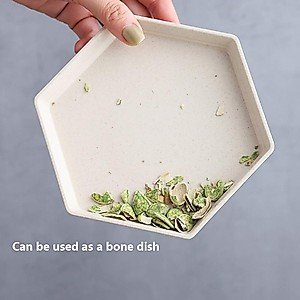 BangBoom 10 Pack Reusable Wheat straw Saucer, 5 Colors Premium Appetizer Plates, Unbreakable Small Dessert Saucer, Lightweight Colorful Snack Tableware Set for Fruit, Candy, Side Dishes. (Hexagonal)