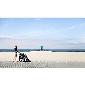 Burley D'Lite X, 2 Seat Kids Bike Trailer & Stroller