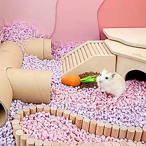 Niteangel Hamster Chew & Decor Toys - for Syrian Dwarf Hamsters Gerbils Mice Lemming Degu or Other Small-Sized Pets (Carrot-Shape (Pack of 6))