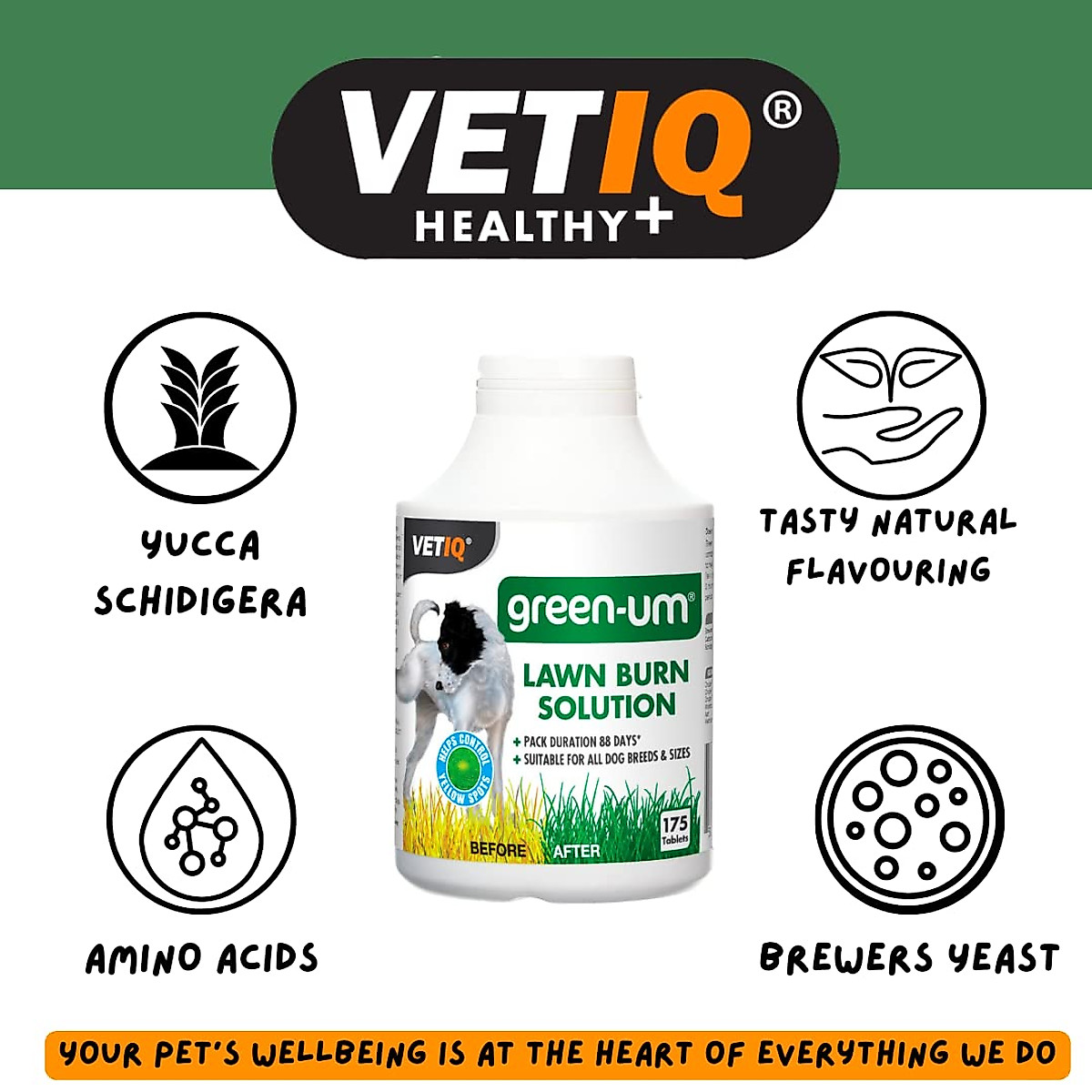 VetIQ Green-Um Dog Urine Neutraliser, 100 Tablets, Urine Neutraliser Lawn Burn Solution, Puppy Essentials Controls Nitrogen in Urine to Prevent Lawn Yellow Spots, Wee Neutraliser for All Breeds/Sizes