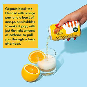 Minna Organic Sparkling Iced Tea - ORANGE MANGO BLACK TEA: No Sugar, Zero Calorie, Lightly Brewed, Refreshing, Non-GMO, Fair Trade, 12 Fl Oz Cans [12-Pack]…