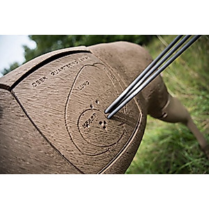 Field Logic GlenDel Pre-Rut Buck 3D Archery Target with Replaceable Insert Core, GlenDel Pre-Rut Buck w/ 4-sided insert, Brown