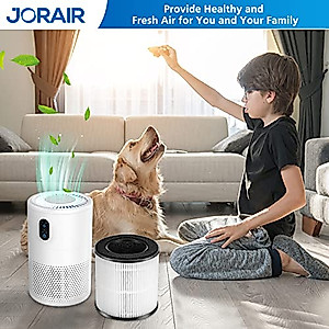 1 Pack H13 True HEPA Replacement Filter Compatible with Afloia Fillo/Halo/Mooka (3 Pack)