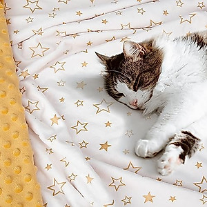 BORITAR Baby Security Blanket+Baby Blanket Soft Baby Lovey Unisex Lovey Baby Gifts for Newborn Boys and Girls Baby Snuggle Toy Baby Bee Stuffed Animal