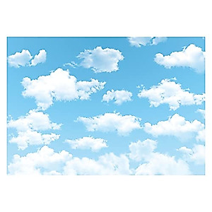 Allenjoy 7x5ft Vinyl Blue Sky White Cloud Backdrop - Not Fabric - Ideal for Newborn, Spring, Kids, Children, Aviator, Birthday Party, Baby Shower, World Travel Background
