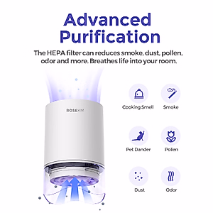 ROSEKM 1-Year Pack Air Purifier Replacement Filter for AP001R, True HEPA Filter, 4 Pack