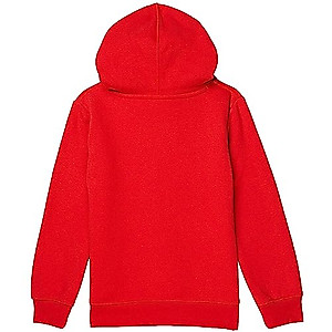 Nike Metallic HBR Pullover Hoodie (Little Kids)