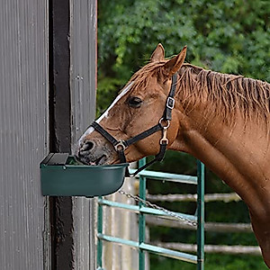 GOTOTOP Automatic Waterer Bowl, Large 4L Automatic Pet Waterer Float Valve Water Trough Livestock Drinking Bowl for Cat Sheep Dog Horse Farm Supplies