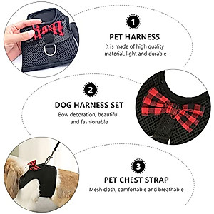 Mipcase 1 Set Harness Rope Breathable of Supplies Guinea Chinchilla Type Training M Pet Walking Animal Harnesses Puppy Straps Cat Chest Back Leash Squirrel Rabbit Strap Small for Outdoor