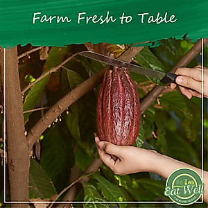 Eat Well Premium Unsweetened Cacao Powder - 32 oz | Dutch Processed Cocoa Powder | Pure Dark Chocolate Powder for Baking & Drinking | 100% Natural Unsweetened Powdered Cocoa | Raw & Vegan Friendly