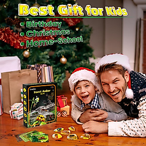 Amber Dig Kit-Artificial Insect Resin, Excavate 6 Insects Specimens, STEM Geographic Educational Bugs Toys, Excavation Toys Science Kit for Fun Bugs Party Favors, Bug Collection Kit for Kids Age 6+