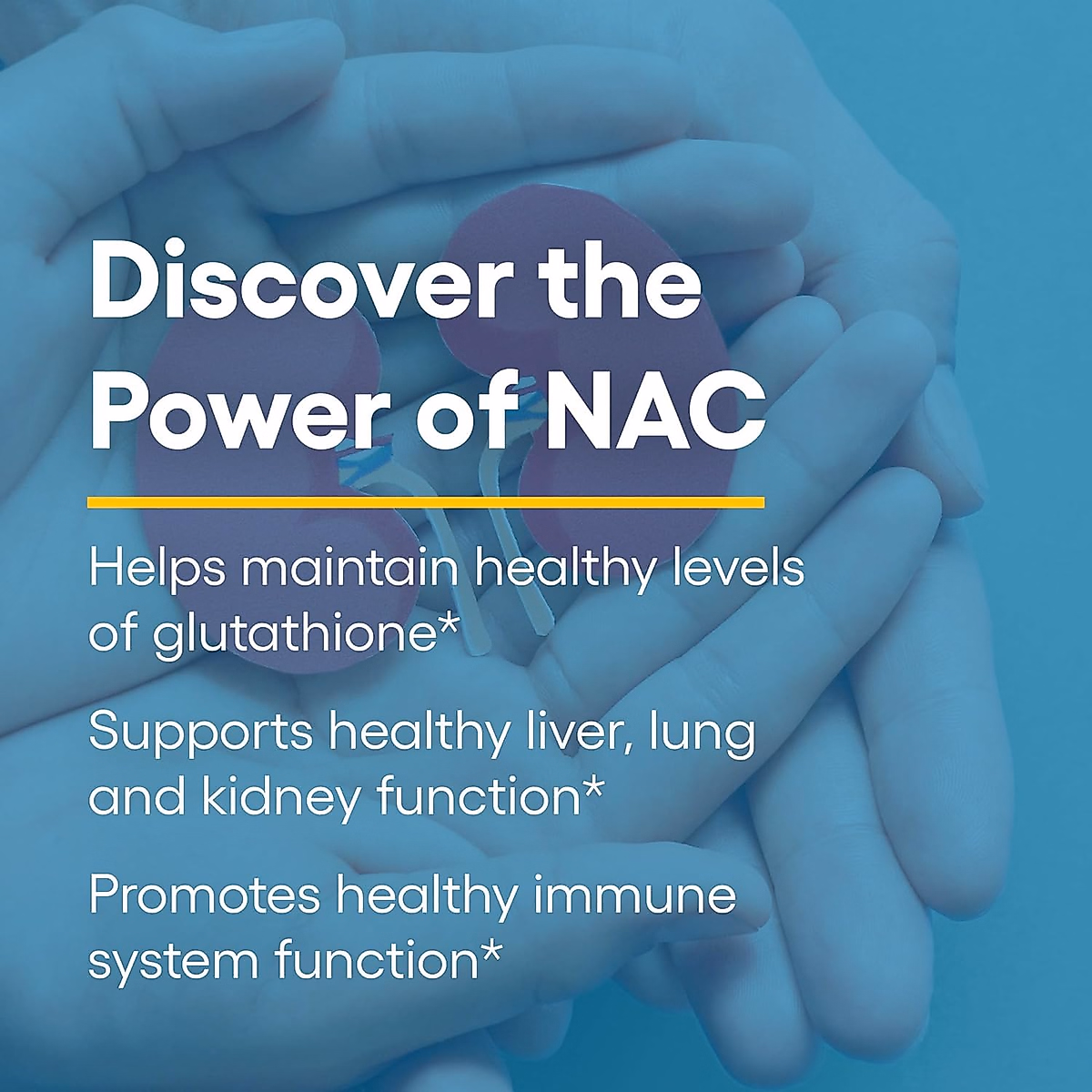 Natural Factors N-Acetyl-L-Cysteine 500 mg, Superior Antioxidant Support for Respiratory & Immune Systems, 90 Capsules