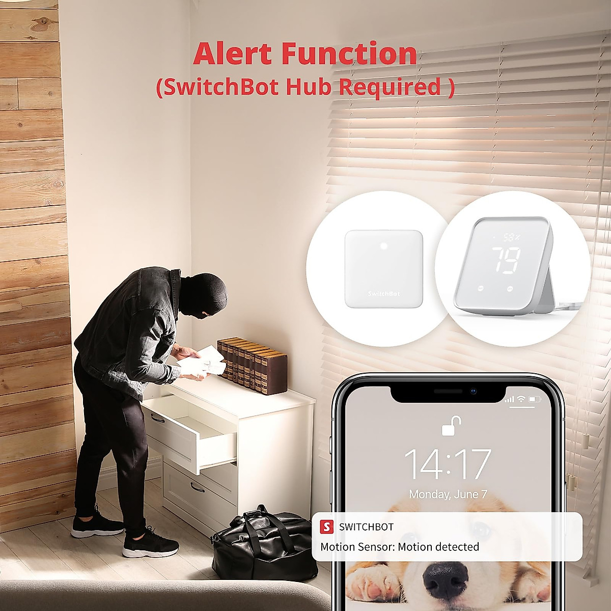 SwitchBot Smart Motion Door Sensor - Wireless Home Security System, PIR Motion Detector Alert, Add SwitchBot Hub Mini to Make it Compatible with Alexa