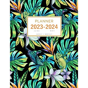 Planner 2023-2024: 8.5 x 11 Weekly and Monthly Organizer from June 2023 to May 2024 | Tropical Plant Lizard Bird Design Black