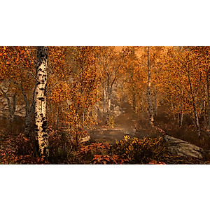 ELDER SCROLLS V 5 SKYRIM SPECIAL EDITION [M]