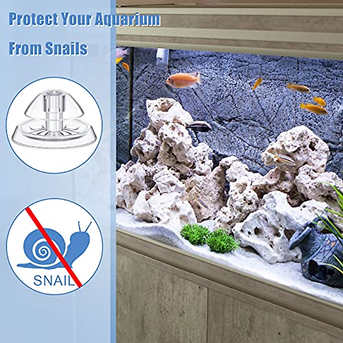 Honeydak 4 Pieces Snail Trap Plastic Aquarium Snail Trap for Fish Tank Clear Snail Catcher Fish Plants Leech Planarian Catch Box for Aquarium Fish Tank