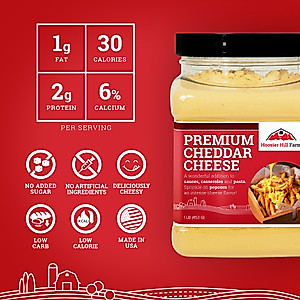 Hoosier Hill Farm Premium Cheddar Cheese Powder, 1LB (Pack of 1)