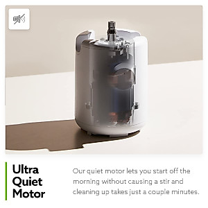 Hurom H310A Personal Self Feeding Slow Masticating Juicer (H310A Lavender)