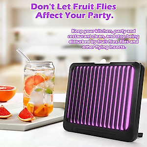 Effective LED Gnats Traps Indoor for Home, Mosquito Traps Indoor for Fruit Flies, Pests, Moths, Flying Insect Trap Indoor for Stop Mosquito Bites, Black [Fly Trap+6 Glue Card]