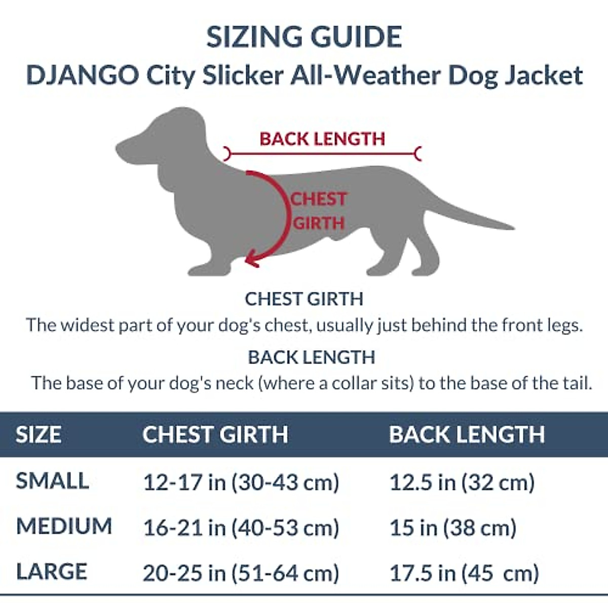 DJANGO City Slicker All-Weather Dog Jacket & Water-Repellent Raincoat with Reflective Piping (Medium, Kombu Green)