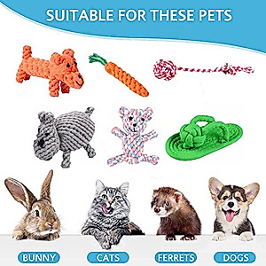 HAICHEN TEC 6 Pack Ferret Rope Chew Toys Durable Knotted Rope Tug Perfect for Teething Mammals, Cotton Rope Toys Interactive Dog Rope Toy Set Machine-Washable (6 Pack)